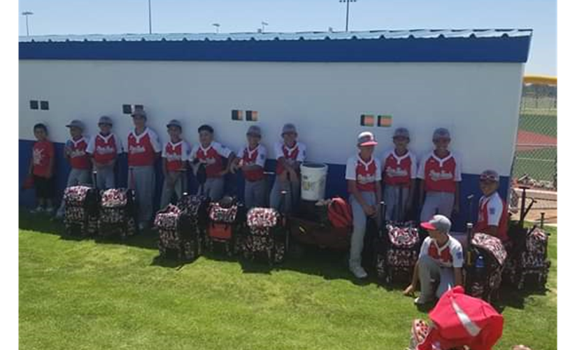 Lions Hondo Little League > Home